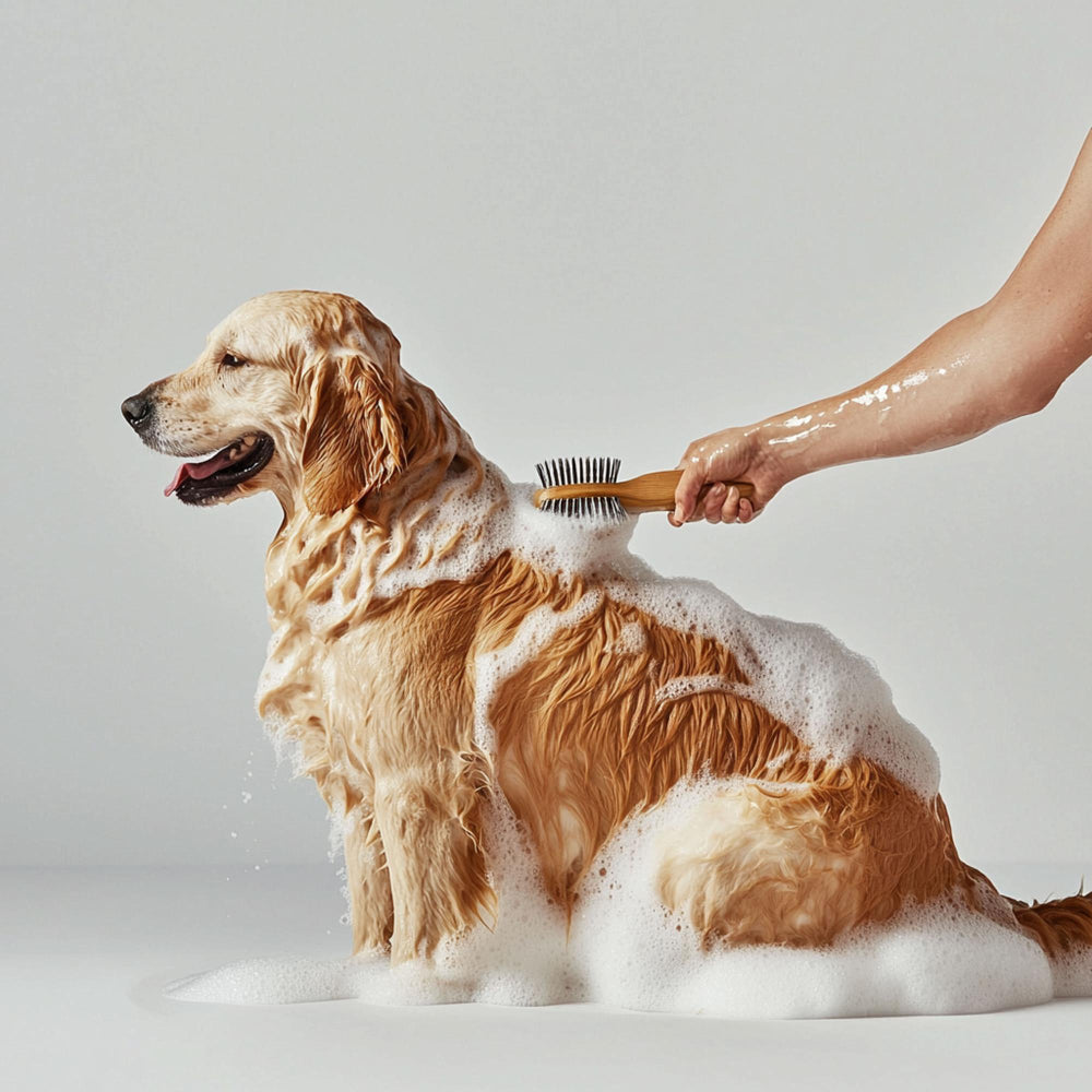 Pegasus Unique Pets (PUPS) – Pegasus Pets (PUP’S)