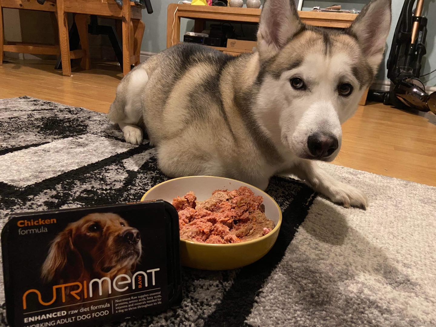 Pegasus Unique Pets (PUPS) – Pegasus Pets (PUP’S)