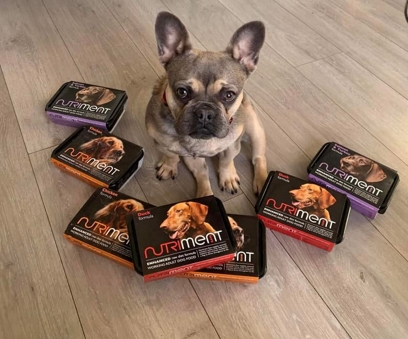 Pegasus Unique Pets (PUPS) – Pegasus Pets (PUP’S)