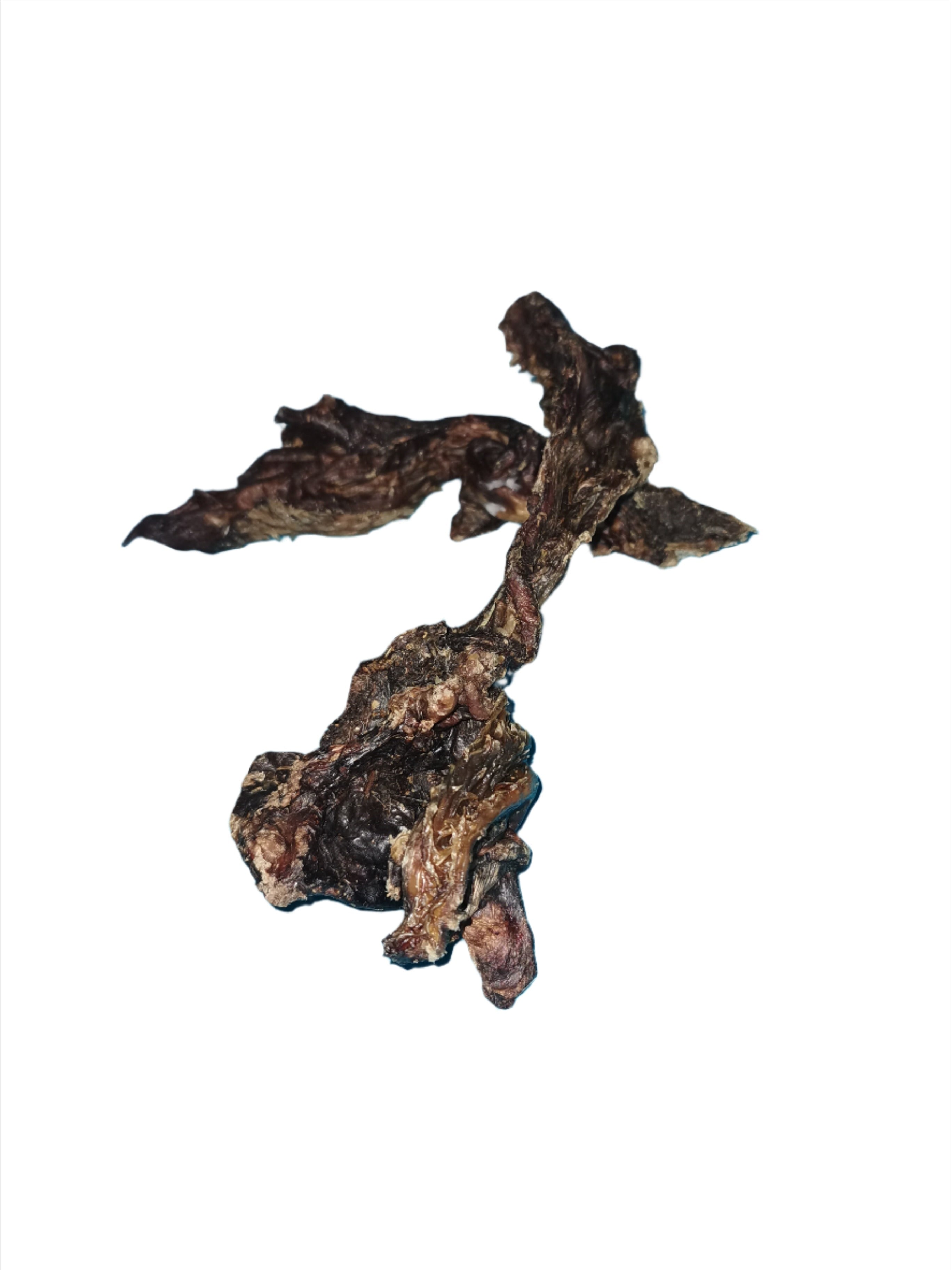 Pegasus Unique Pets (PUPS) – Pegasus Pets (PUP’S)