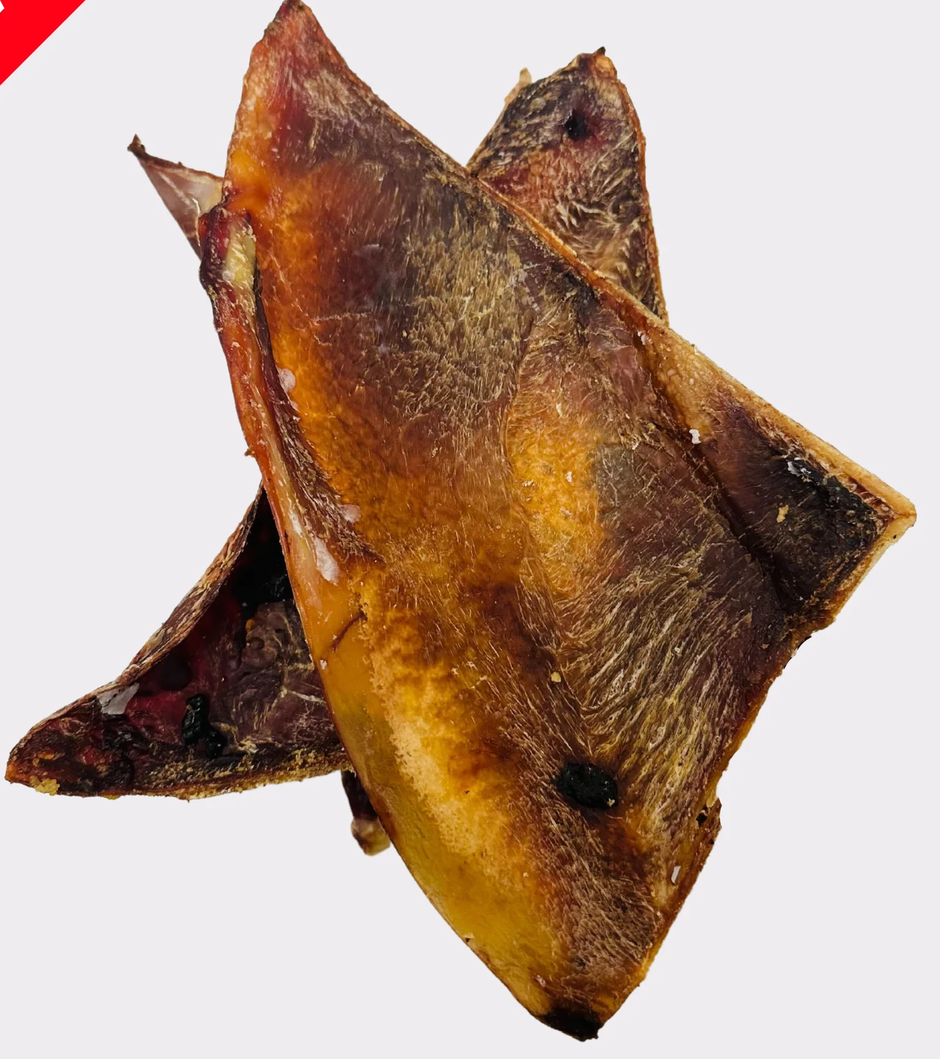 Pegasus Unique Pets (PUPS) – Pegasus Unique Pets (PUP’S)